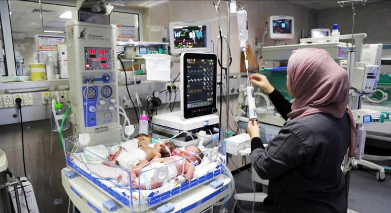 غزة 17 ألف امرأة حامل على حافة المجاعة وارتفاع مخاطر الإجهاض والوفيات